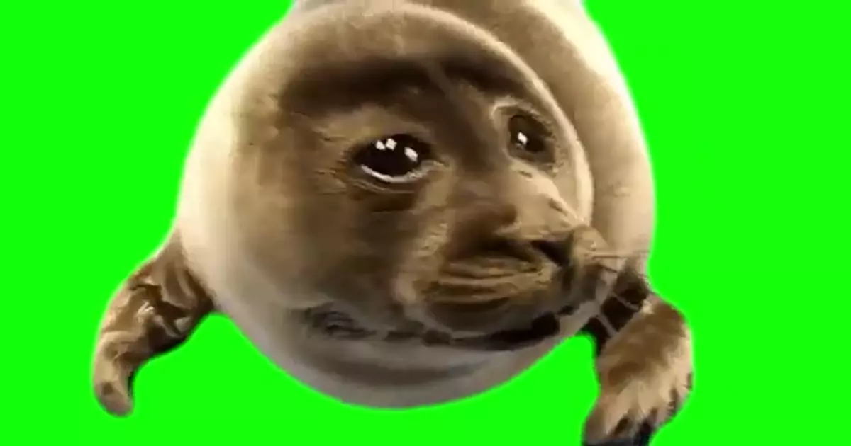 Crying Seal Green Screen Meme Download | Video & Audio