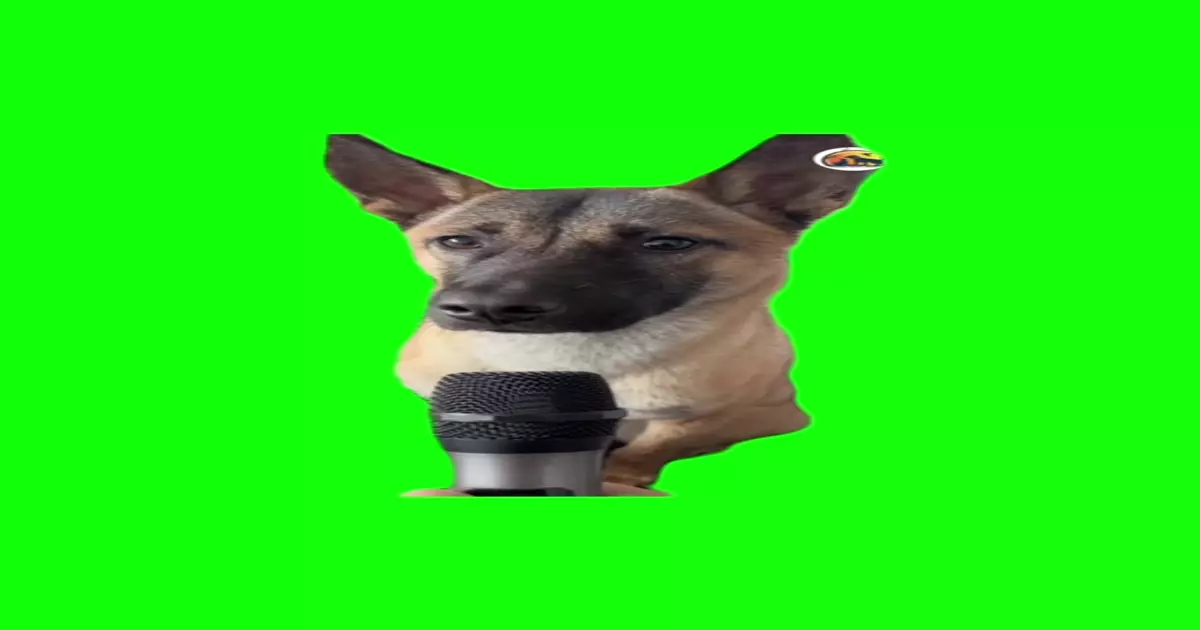 Dog Echo Sounds Green Screen Template Meme Download