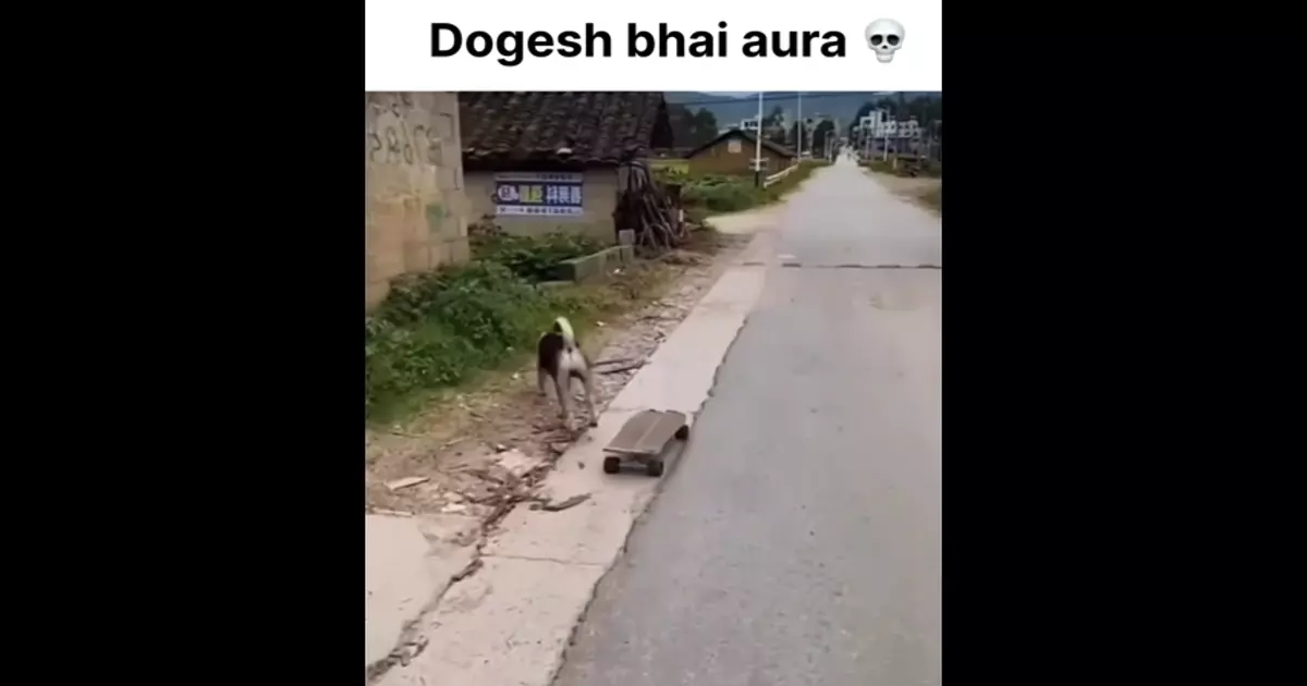 Dogesh Scating Funny Meme Download