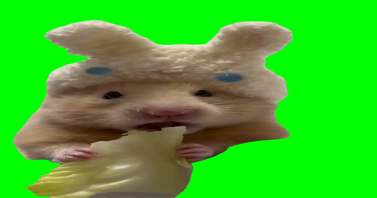 Hamster Eating Green Screen Meme Download