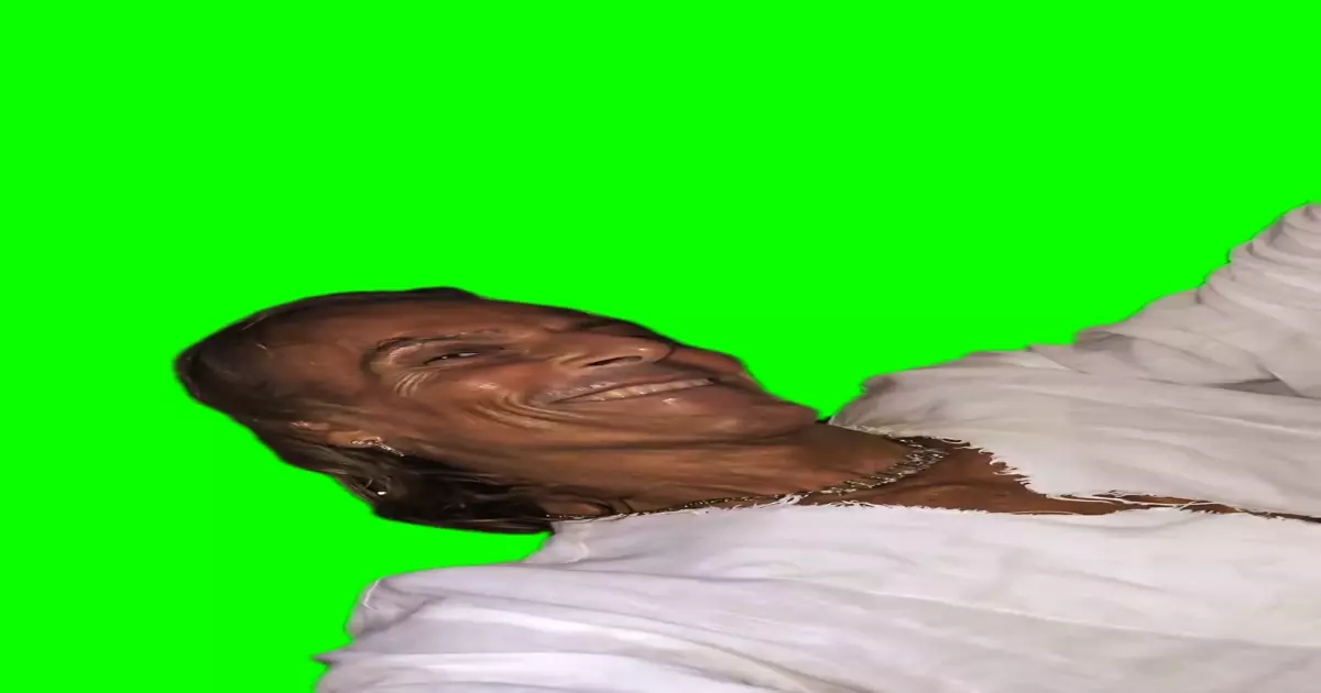 Man After Midnight Green Screen Meme Download