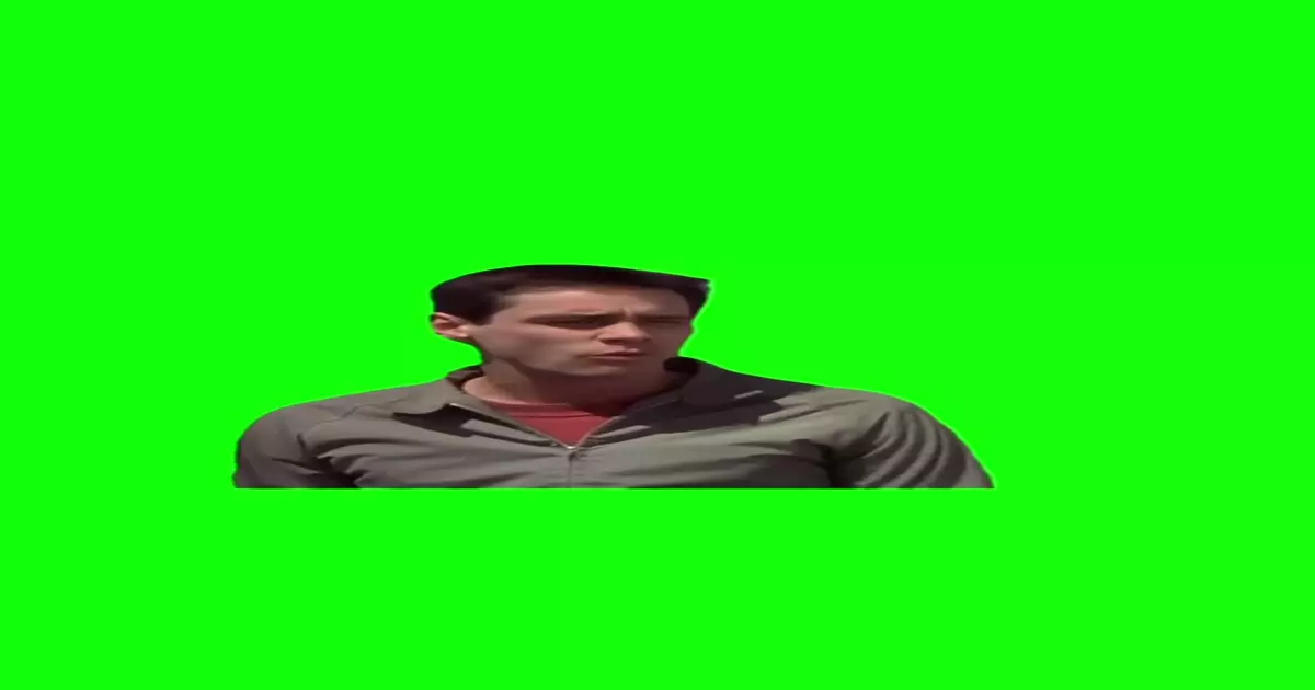 Pardon Me Mr Perfect Green Screen Meme Download