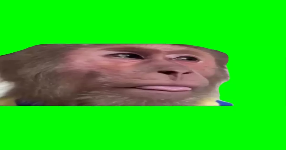 Sad Monkey Green Screen Meme Download