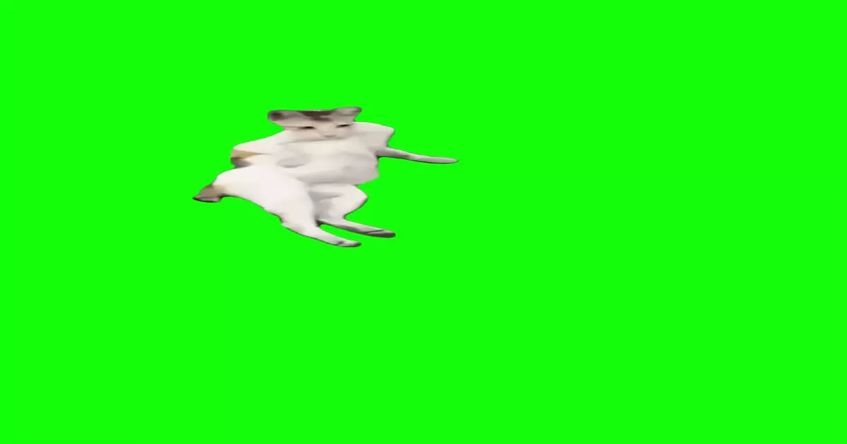Slay Queeen Green Screen Meme Download