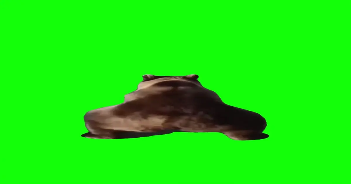 Twerking Bear Green Screen Meme Download